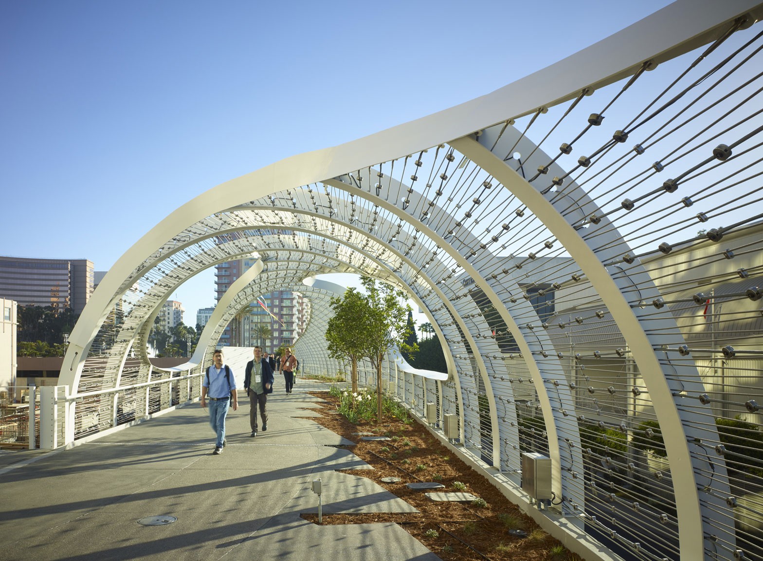 The Rainbow Bridge